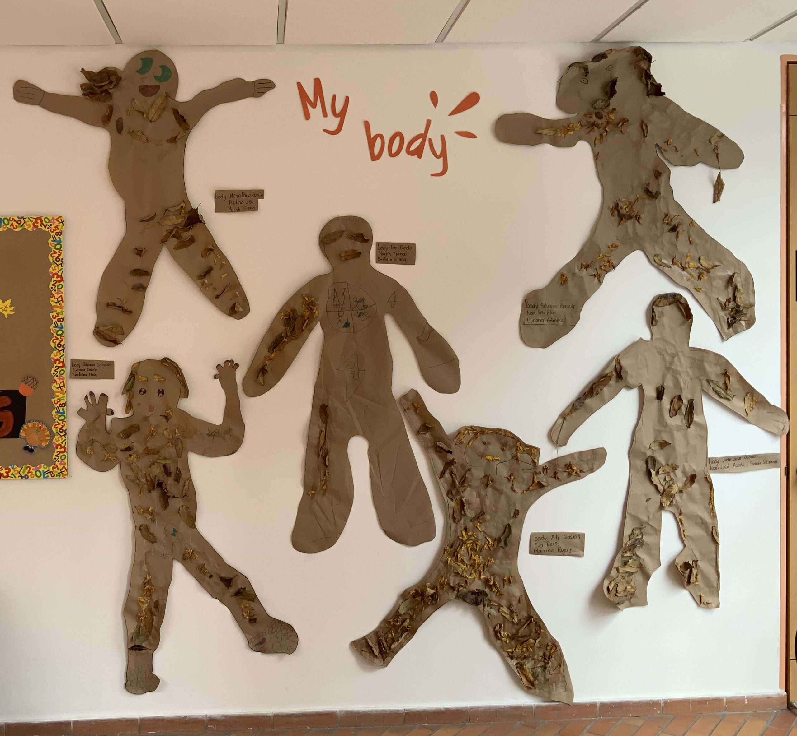 Cooperative Learning – Getting to Know Our Body – Kinder