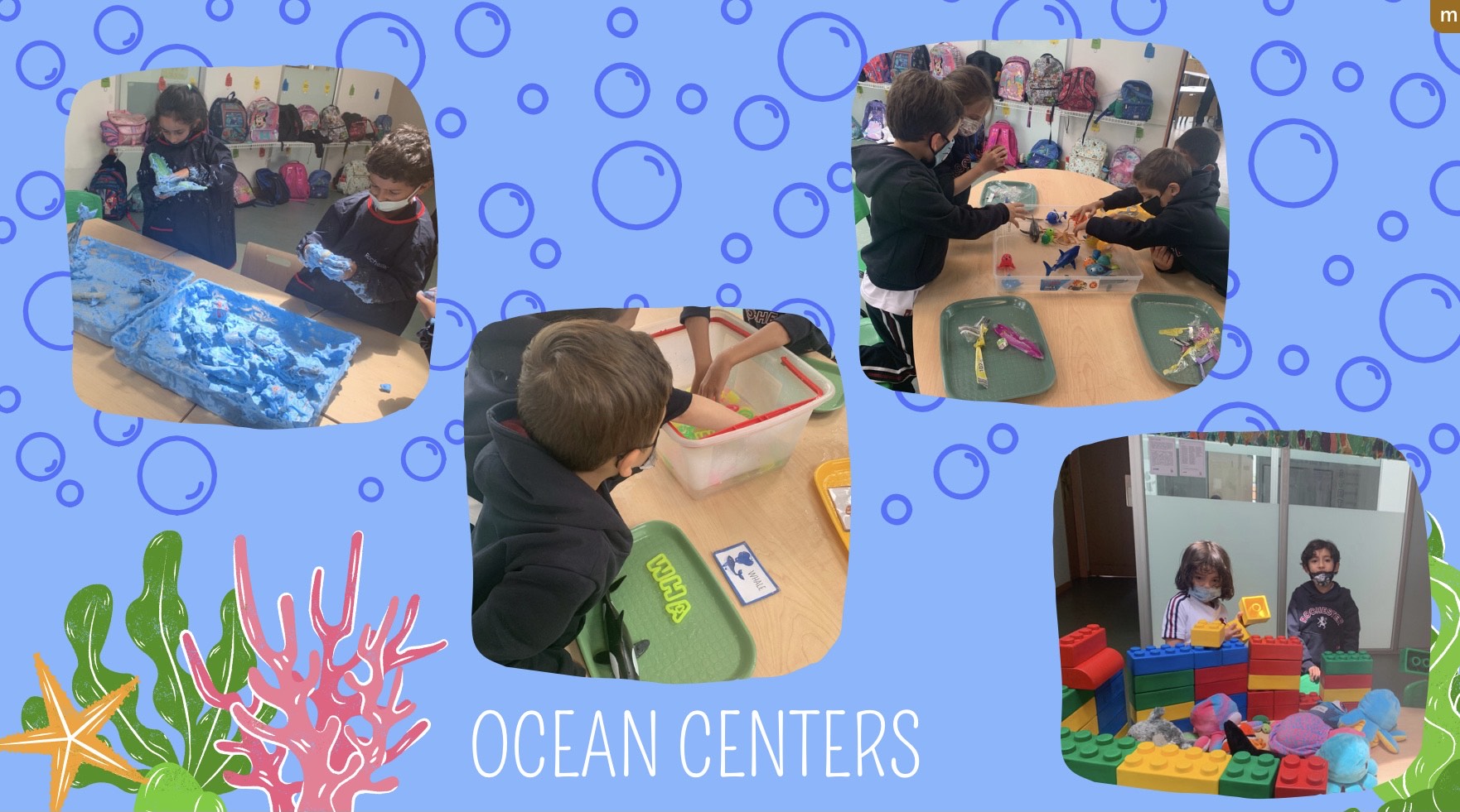 The Farm, The Jungle and The Sea – Bilingual Shared Classroom ...